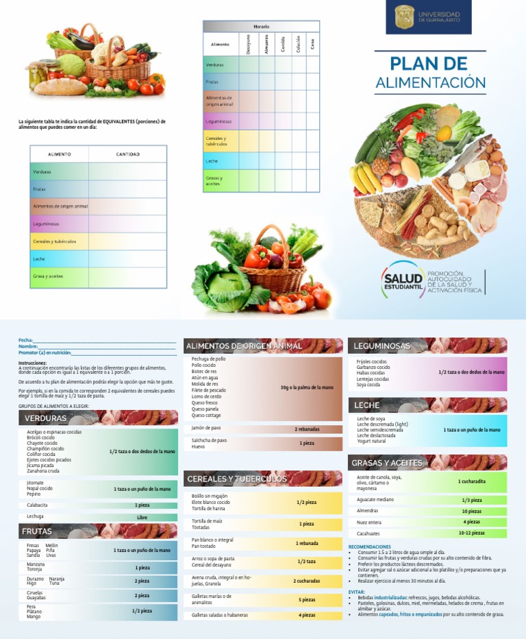 PLAN DE ALIMENTACION MUESTRA (1).pdf | PDF | Nutrición | Dieta y nutrición