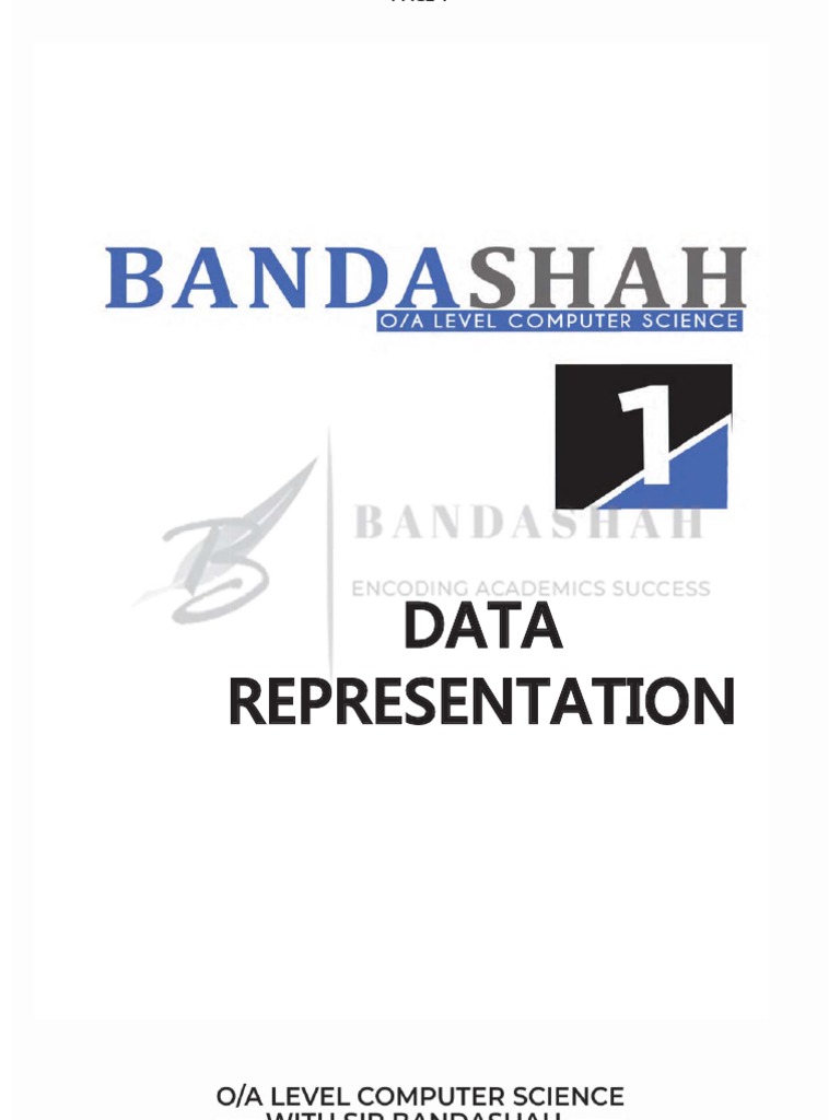 Chapter 1 Data Representation | PDF Chapter 1 Data Representation | PDF