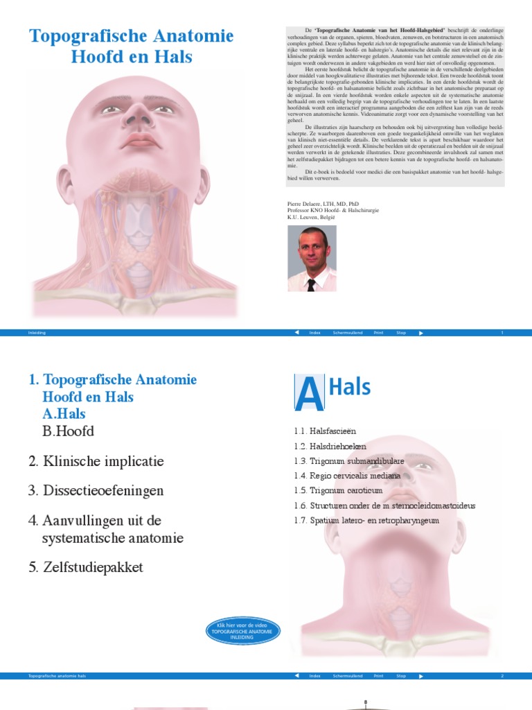 Interactieve_pdf.pdf | PDF