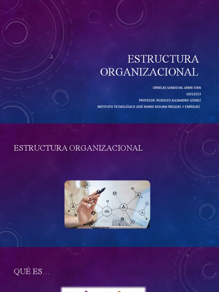 Estructura Organizacional - Ornelas Sandoval Jaime Ivan | PDF | Informática | Business