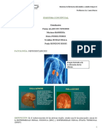 Anatomia de La Rata Externa e Interna Tacher | PDF | Riñón | Abdomen