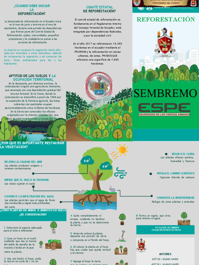 Triptico Mejorado | PDF | Los bosques | Deforestación