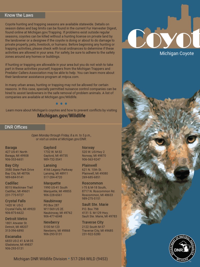 Coyote Smart Brochure | PDF