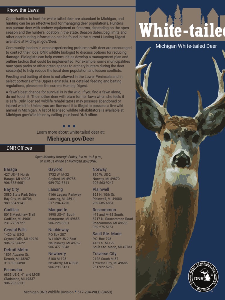 Deer Smart Brochure | PDF | White Tailed Deer | Deer