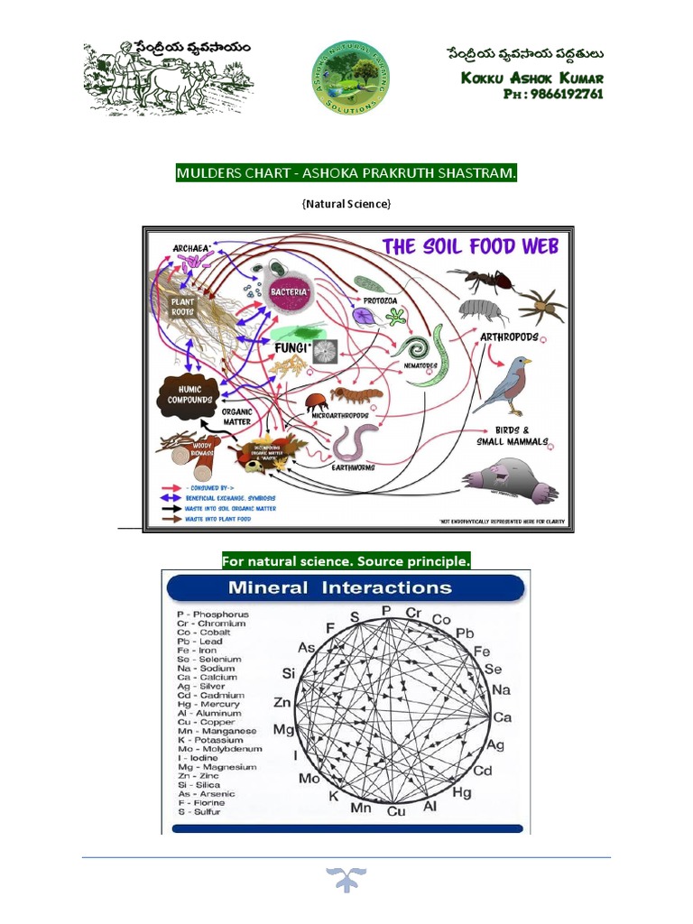 Mulder Chart | PDF | Plant Nutrition | Soil