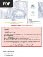 Basic Neuroanatomy PPT Slides | PDF | Brainstem | Neuroanatomy