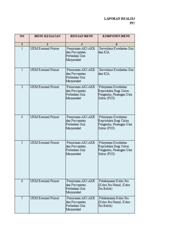 Format Laporan Realisasi Keuangan BOK Puskesmas | PDF