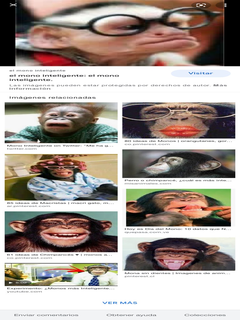Mono Inteligente - Búsqueda de Google | PDF