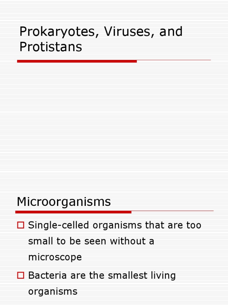 Prokaryotes, Viruses, and Bacterial Diversity | PDF | Bacteria | Prokaryote