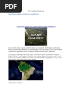 Charts and Graphs About The Amazon Rainforest | PDF | Amazon Rainforest | Deforestation