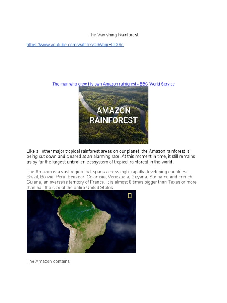 The Vanishing Rainforest | PDF | Amazon Rainforest | Natural Environment