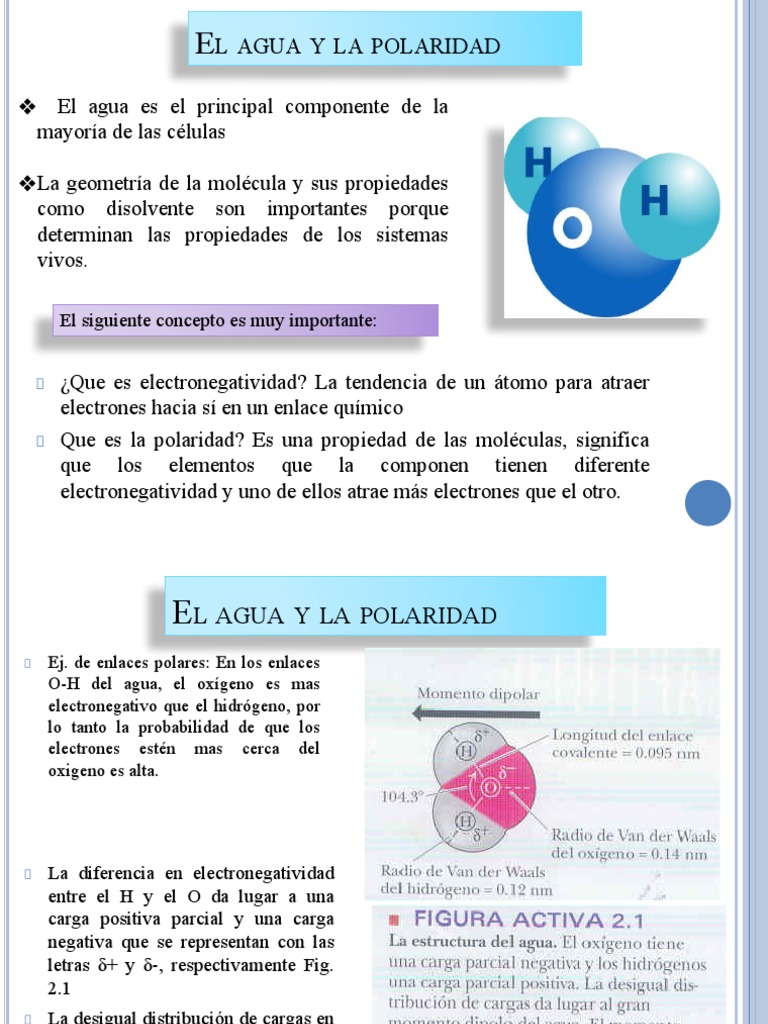 Propiedades Del Agua | PDF | Polaridad química | Enlace de hidrógeno