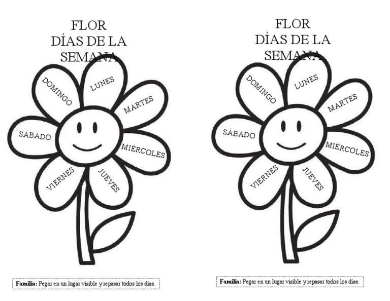 Flor Día de La Semana | PDF