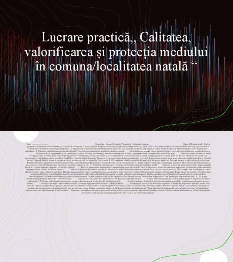Prezentare | PDF