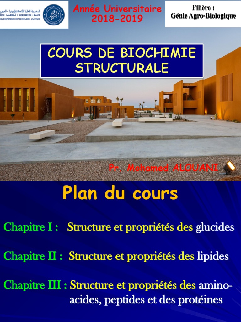 Structure des glucides en biochimie | PDF | Glucide | Isomère
