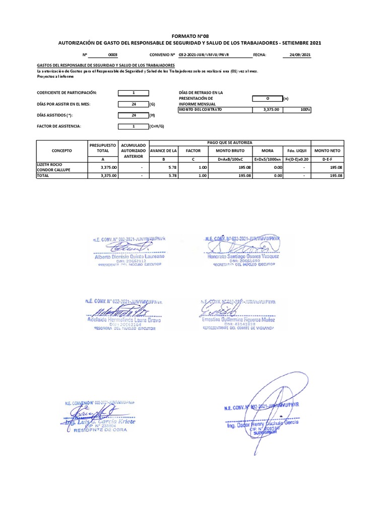 Formato 8a Profesional Salud PDF | PDF