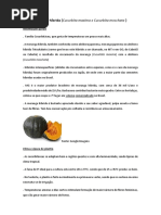 Bula Exalt 191217 | PDF | Embalagem e rotulagem | Inseticida