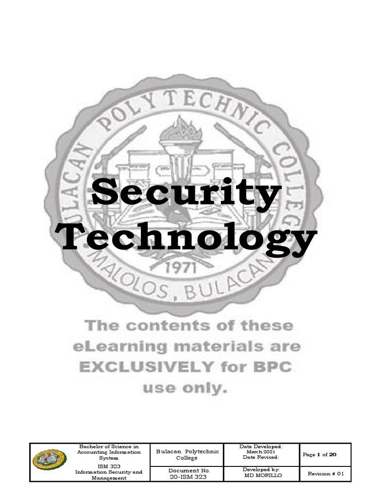 BSAIS-ISM 323 Information Sheet 8 PDF | PDF