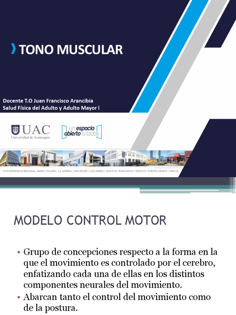 Tono Muscular | PDF | Músculo | Medicina CLINICA