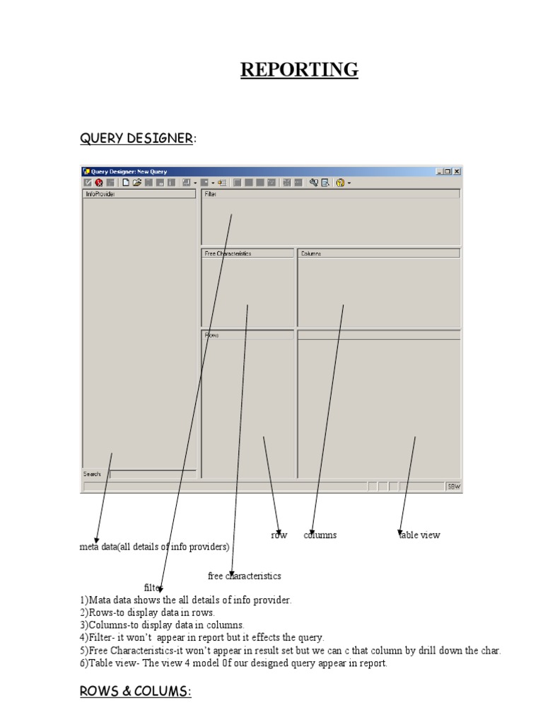 REPORTING | PDF | Variable (Computer Science) | Computer Data