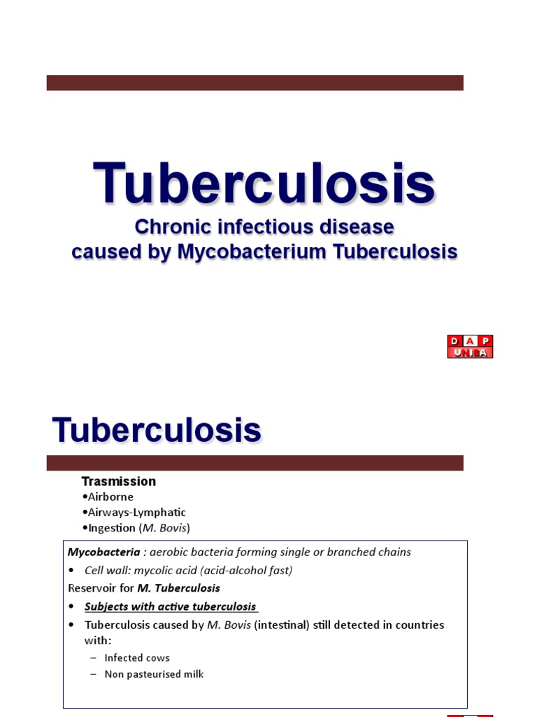 2d. Tuberculosis EM | PDF