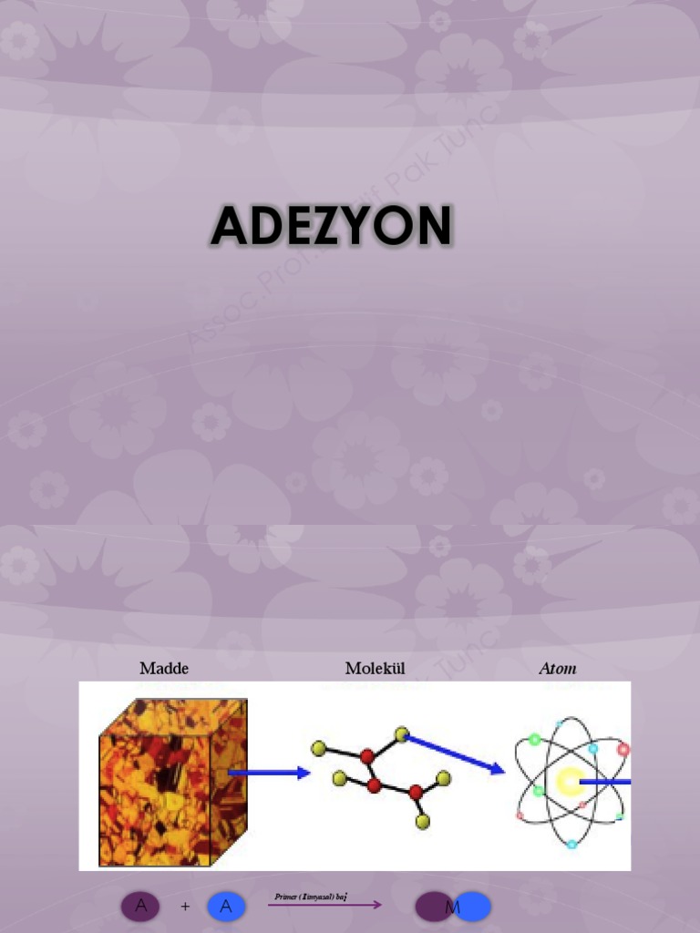 Adezyon PDF | PDF