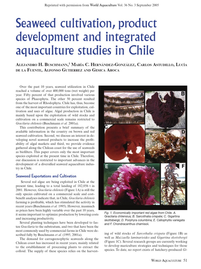 Buschmann Et Al (2005) Seaweed Cultivation Product Development and ...