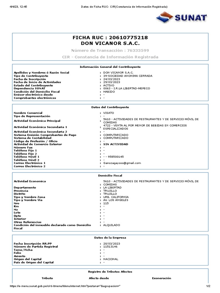 Sunat - Ficha Ruc | PDF | Economias