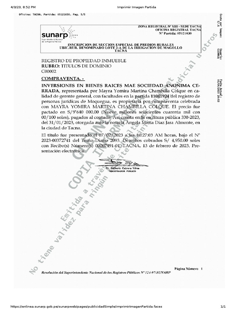 Mayra Chambilla PDF | PDF