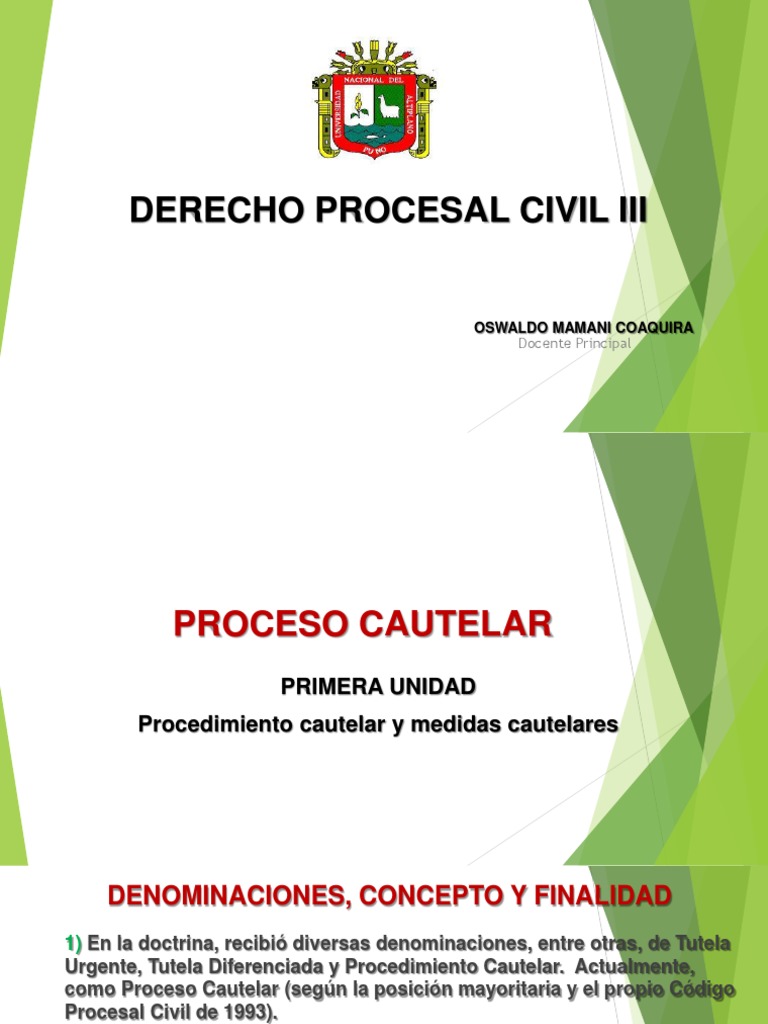 Diapositivas de Derecho Procesal Civil Iii | PDF | Mandato | Ley procesal