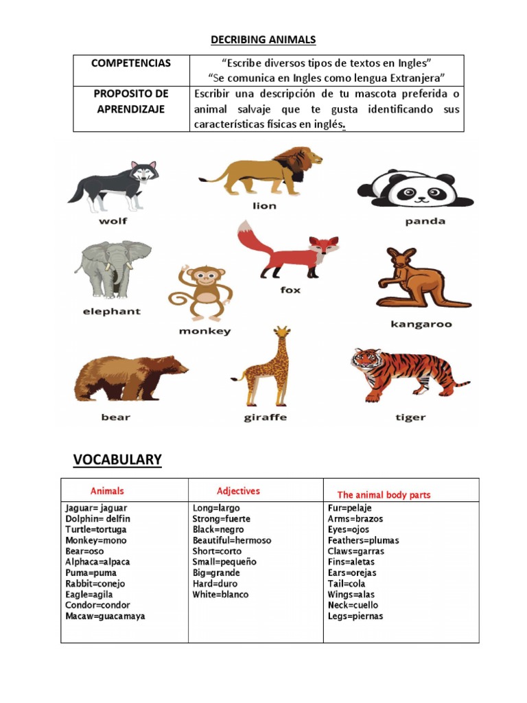 Decribing Animals.docx3,4 y 5 | PDF