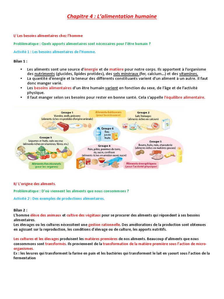 Chapitre 4 - L' Alimentation Humaine (Distanciel) | PDF