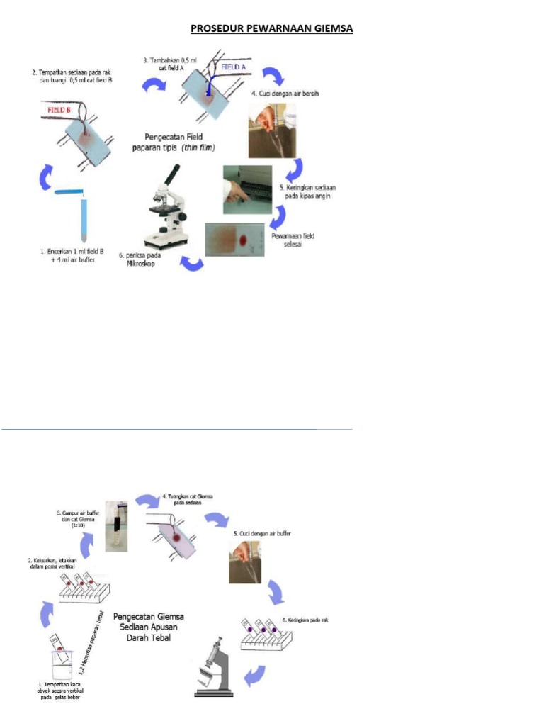 PROSEDUR PEWARNAAN GIEMSA | PDF