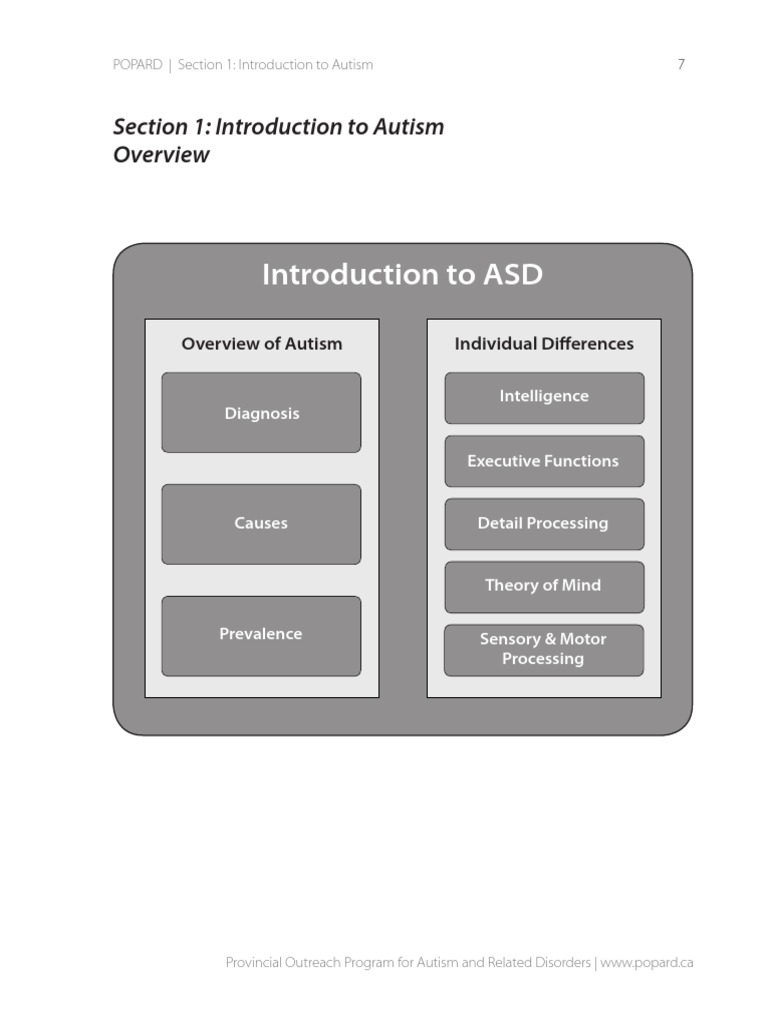 Autism Introduction & Overview | PDF