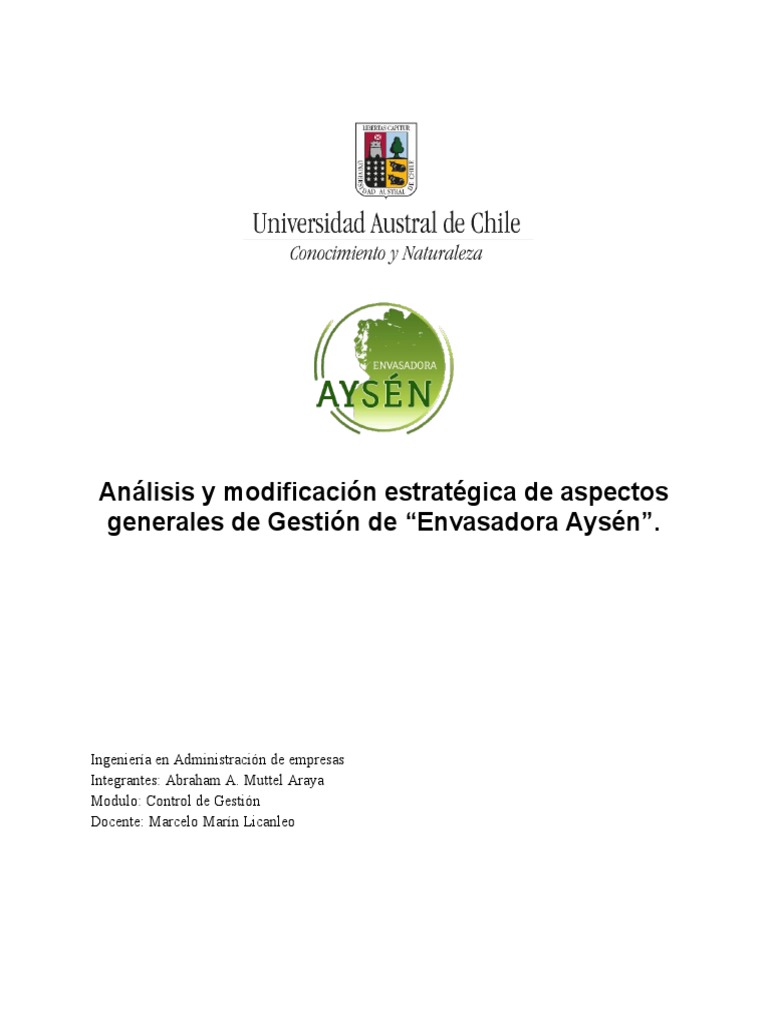 Control de Gestion (Envasadora Aysen) | PDF | Pequeñas y medianas empresas | Economias