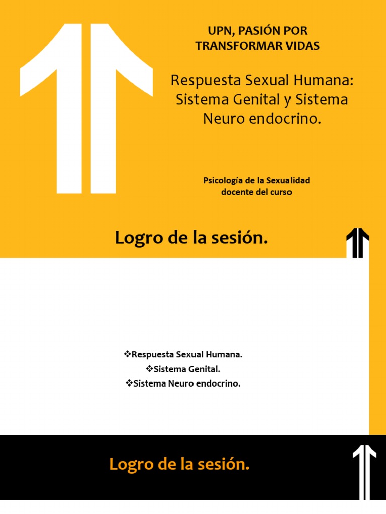 03A SeSiOn PsiSex PDF | PDF | Vagina | Sistema reproductivo