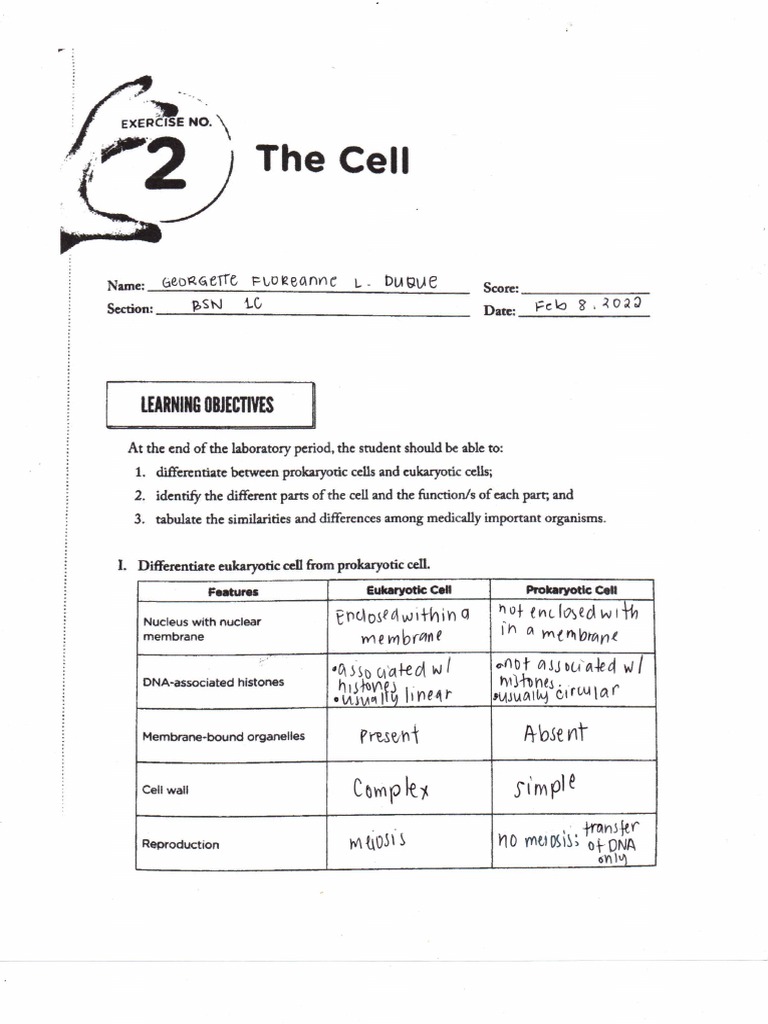 Lab Exercise 2 The Cell | PDF