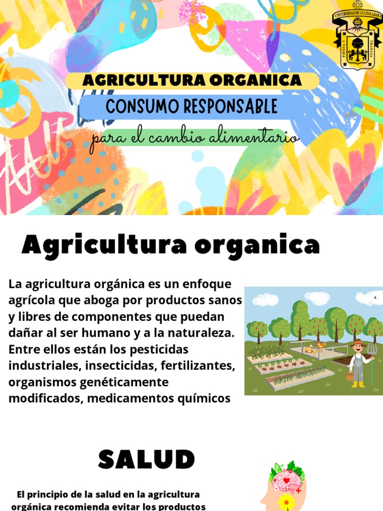 Presentacion Agricultura Organica | PDF