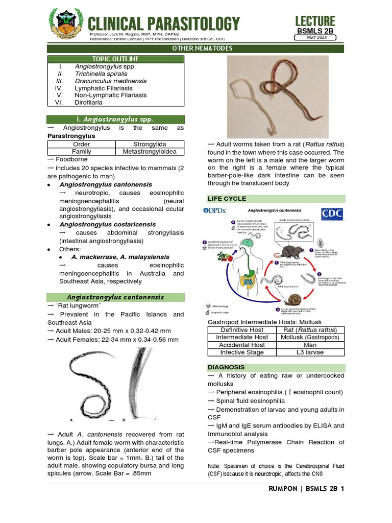 Clinical Parasitology Trans 07 Lecture PDF | PDF | Diseases And ...