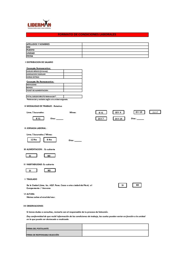 Formato de Condiciones Laborales - Postulante | PDF