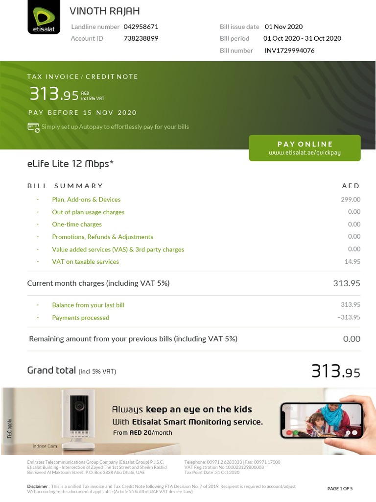Etisalat Bill - November 2020 PDF | PDF | Value Added Tax | United Arab ...