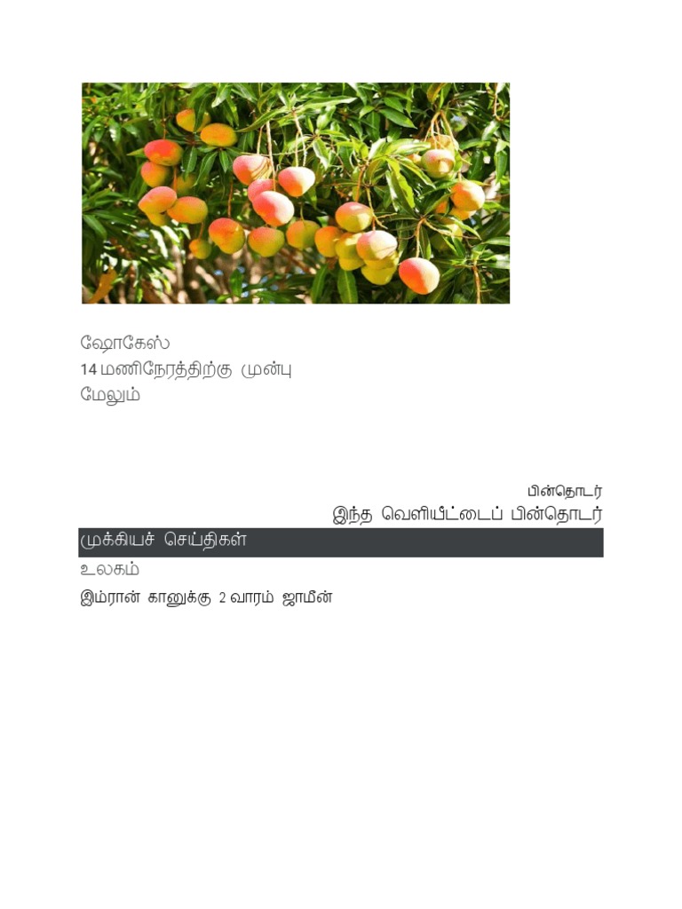 DDDDDDDD 24 PDF | PDF