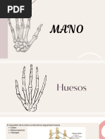 Mano y Muñeca | PDF | Mano | Articulaciones