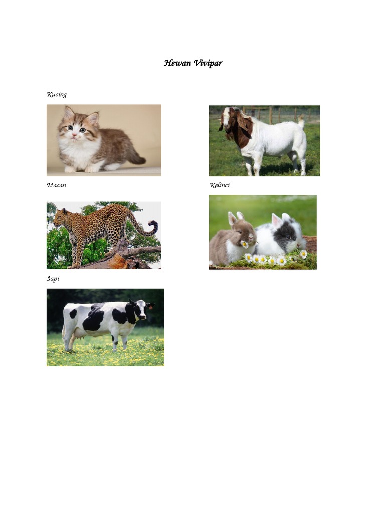 Hewan Vivipar | PDF