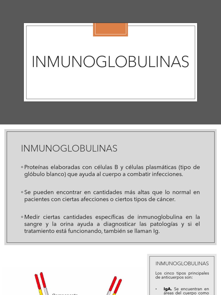 Inmunoglobulinas Y Virología Pdf Anticuerpo Virología