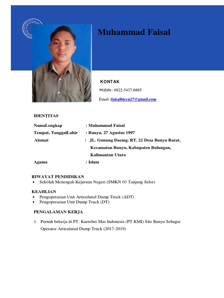 CV Faisal | PDF