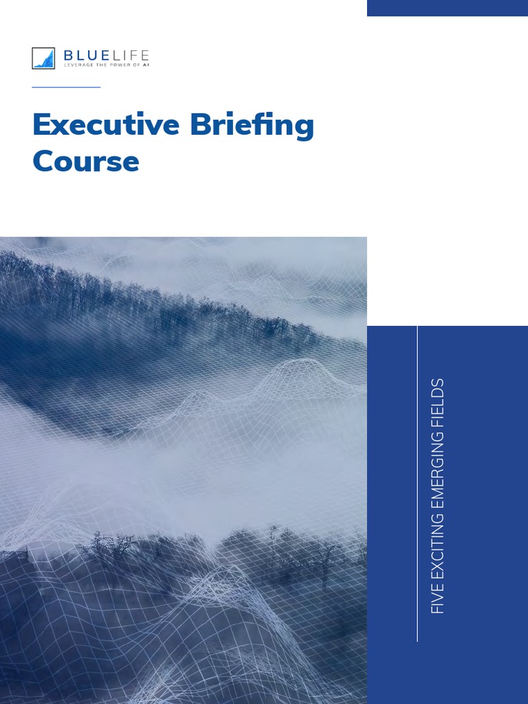 Ai Playbook Executive Briefing Artificial Intelligence Pdf Deep