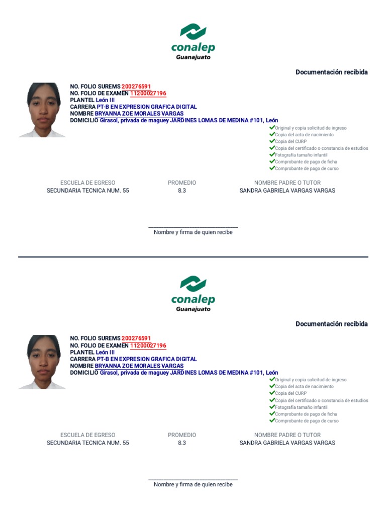 Formato de Documentación Recibida PDF | PDF