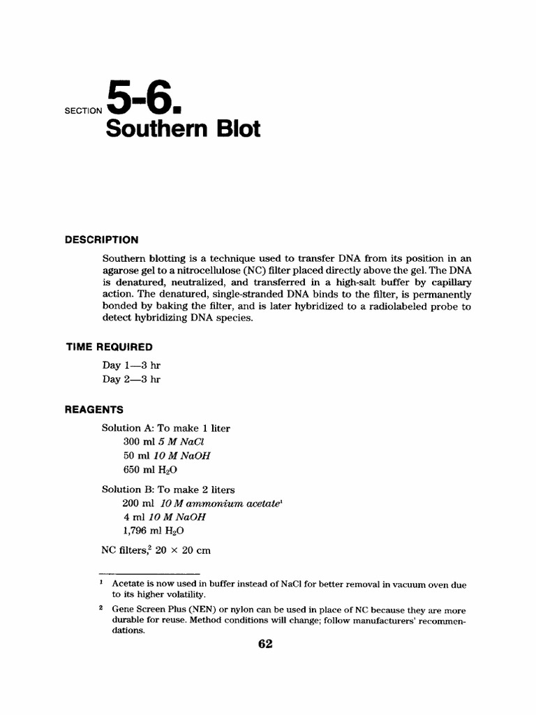 A Detailed Protocol for Performing Southern Blotting to Transfer DNA ...