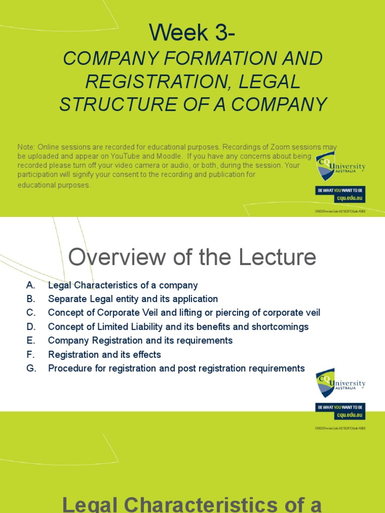 Company Formation and Legal Structure | PDF